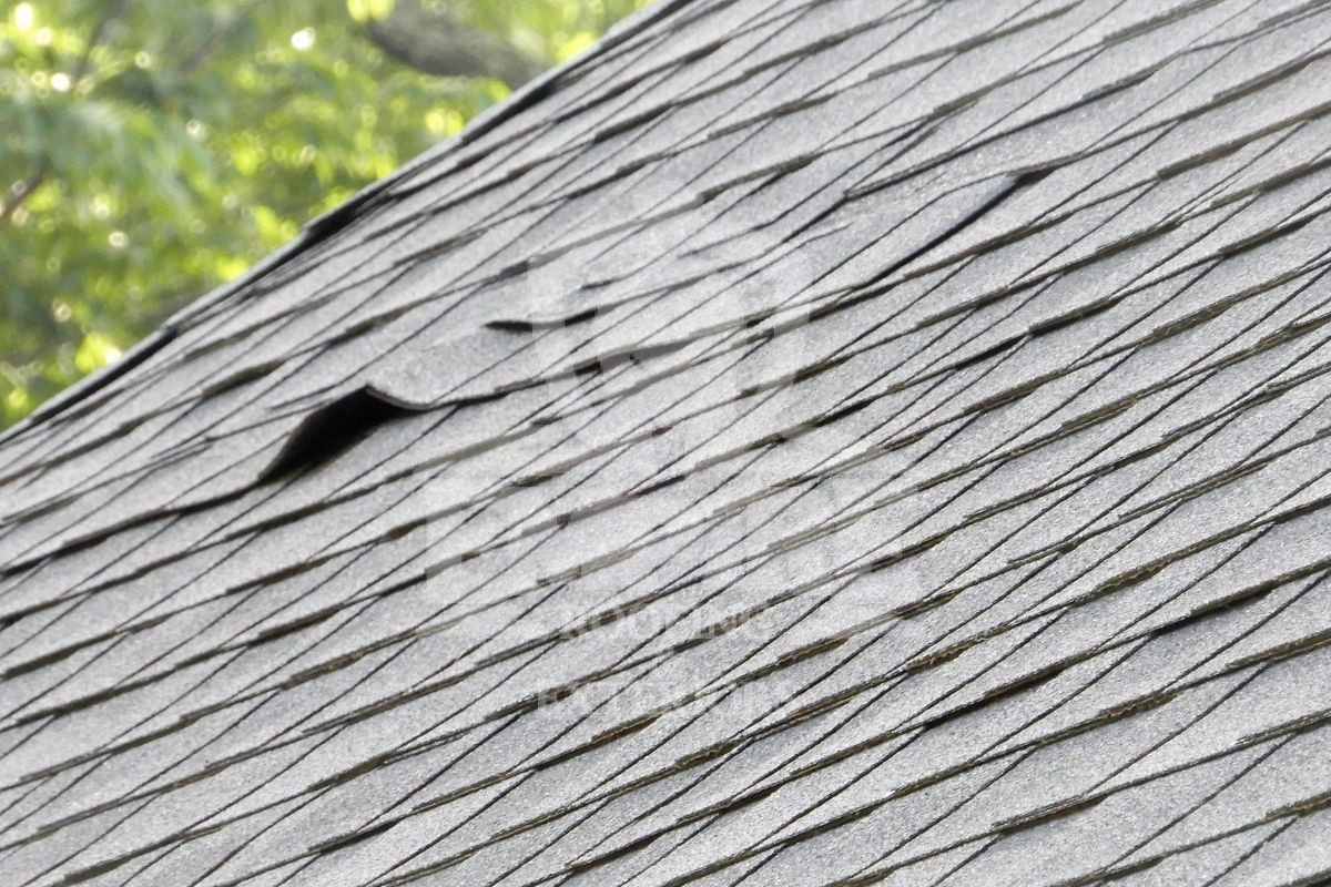 What Is Considered Wind Damage To Shingles?